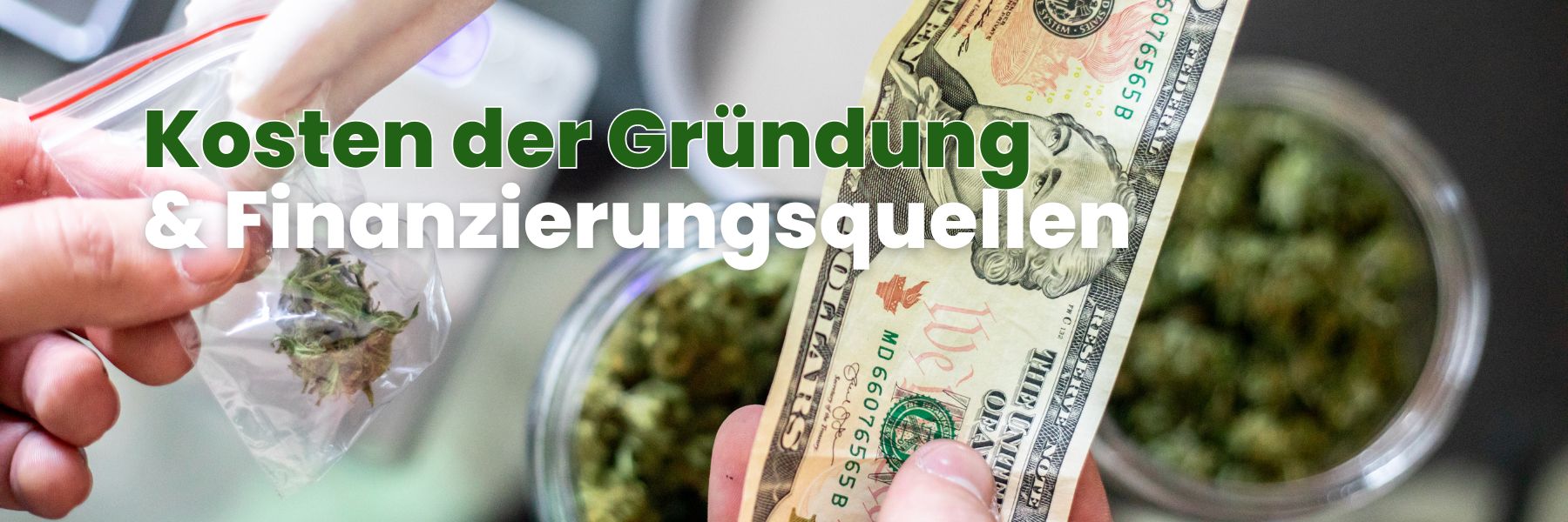 Kosten der Gründung eines CSC im Überblick und mögliche ...